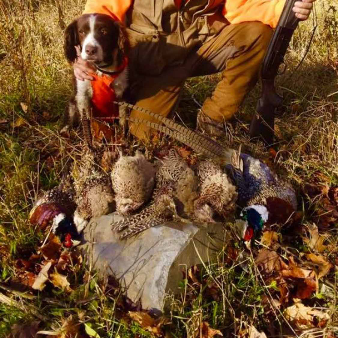 Elk & Whitetail Hunting in Wisconsin | The Wilderness Reserve